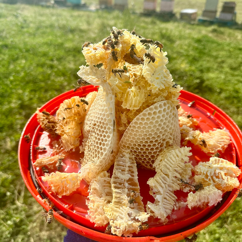 Honey-Makers – The Lady May