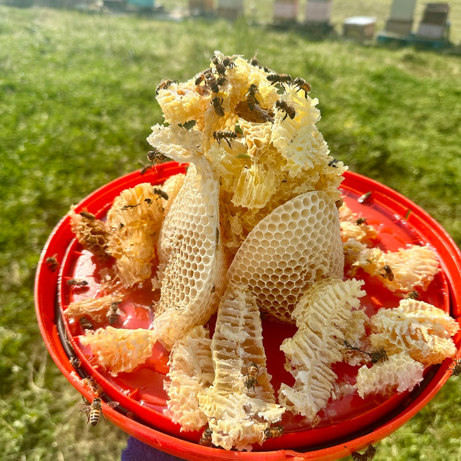 Honey-Makers – The Lady May